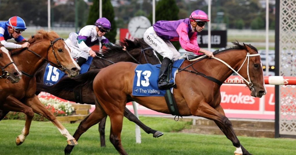 WA TAB Sale a Three-Horse Race - KRUZEY